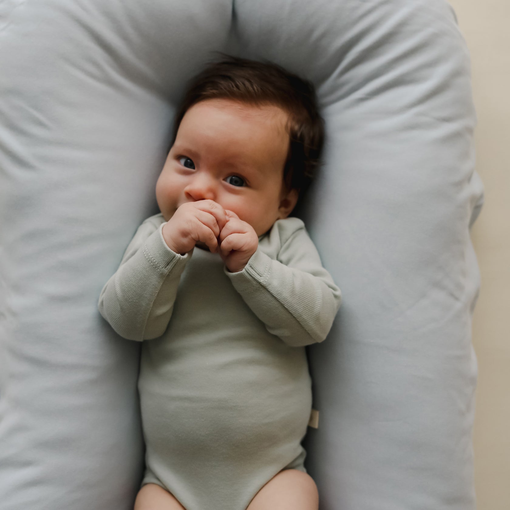 Infant Lounger Cover | Bluebell – Snuggle Me Organic